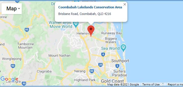 オーストラリアの野生動物に会ってきました | オーストラリア留学ならTAKEOFF Gold Coast